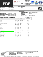 Peripheral Blood Smear Report Sample | PDF