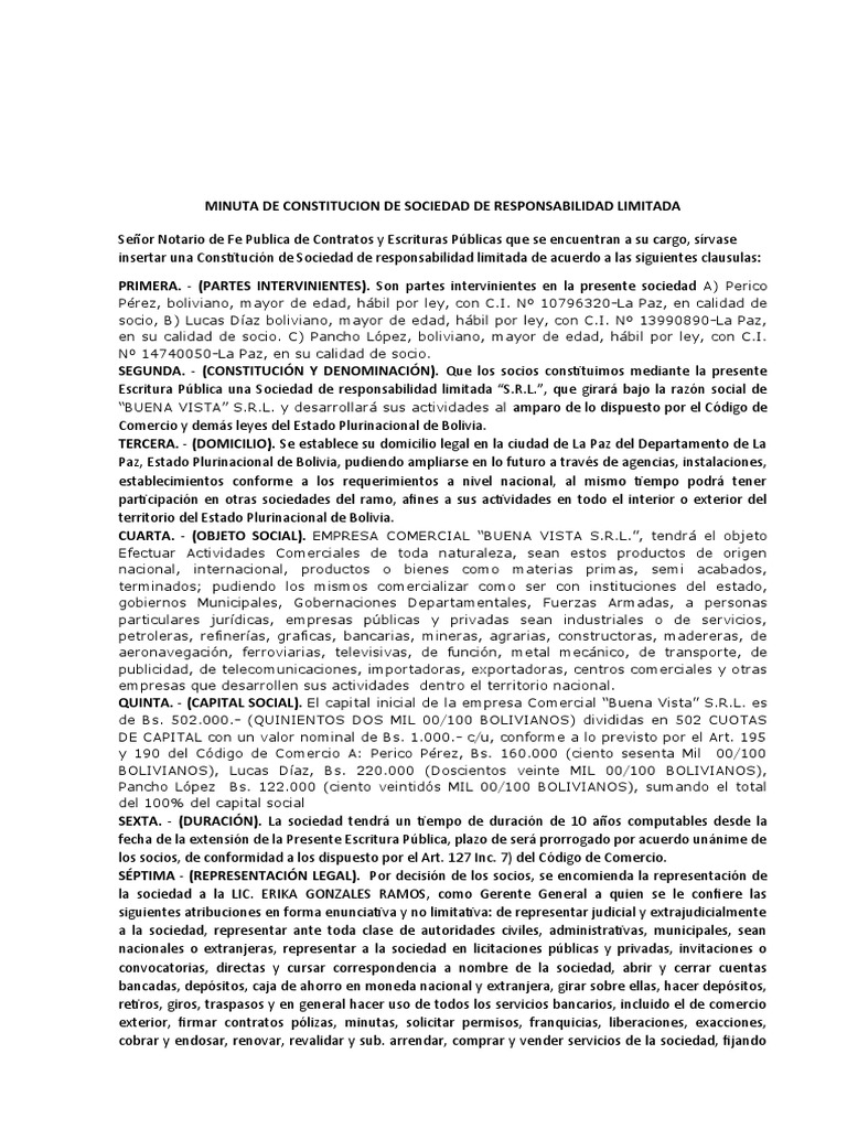 Minuta de Constitucion | PDF