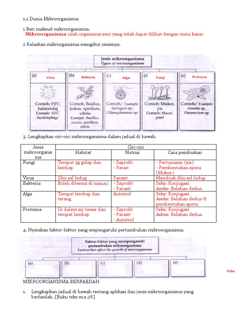 SAINS TINGKATAN 5 Bab 1 Jawapan | PDF