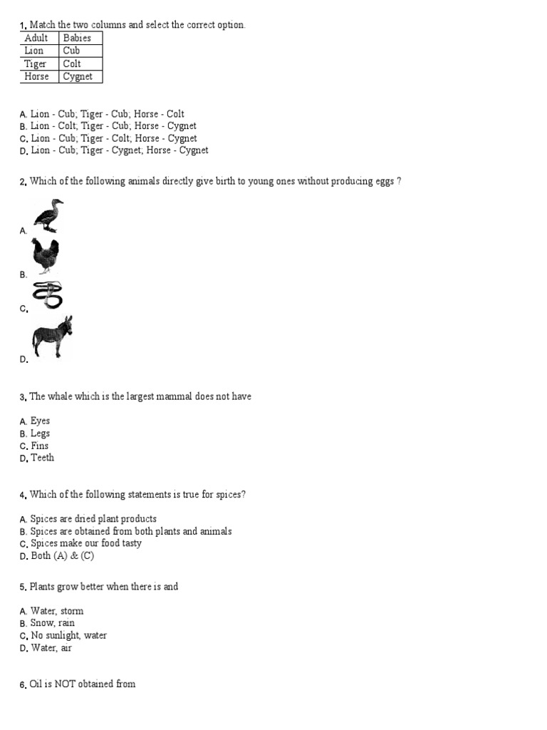 NSO Class 2 Sample Paper 1 | PDF | Planets | Earth