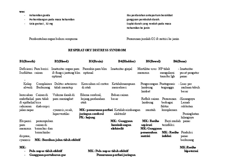 WOC RDS & Catatan Perkembangan | PDF