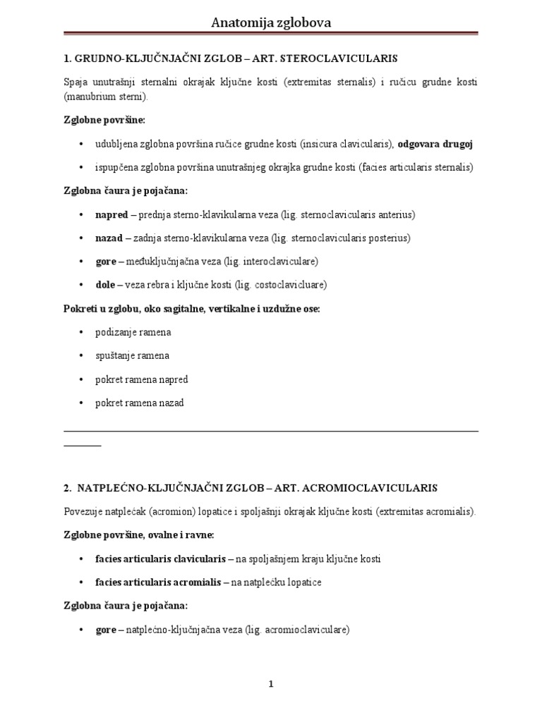 Anatomija Zglobovi | PDF