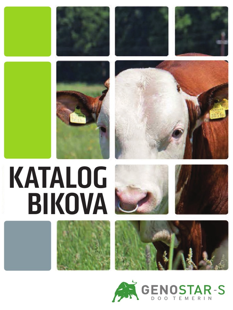 Katalog Bikova: Doo Temerin | PDF
