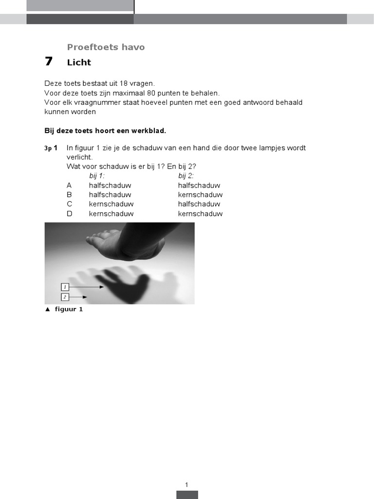Proeftoets H7 Havo | PDF