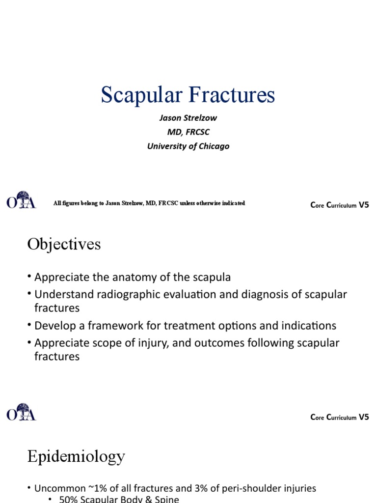 UE 3 Scapula Fractures | PDF | Shoulder | Musculoskeletal System