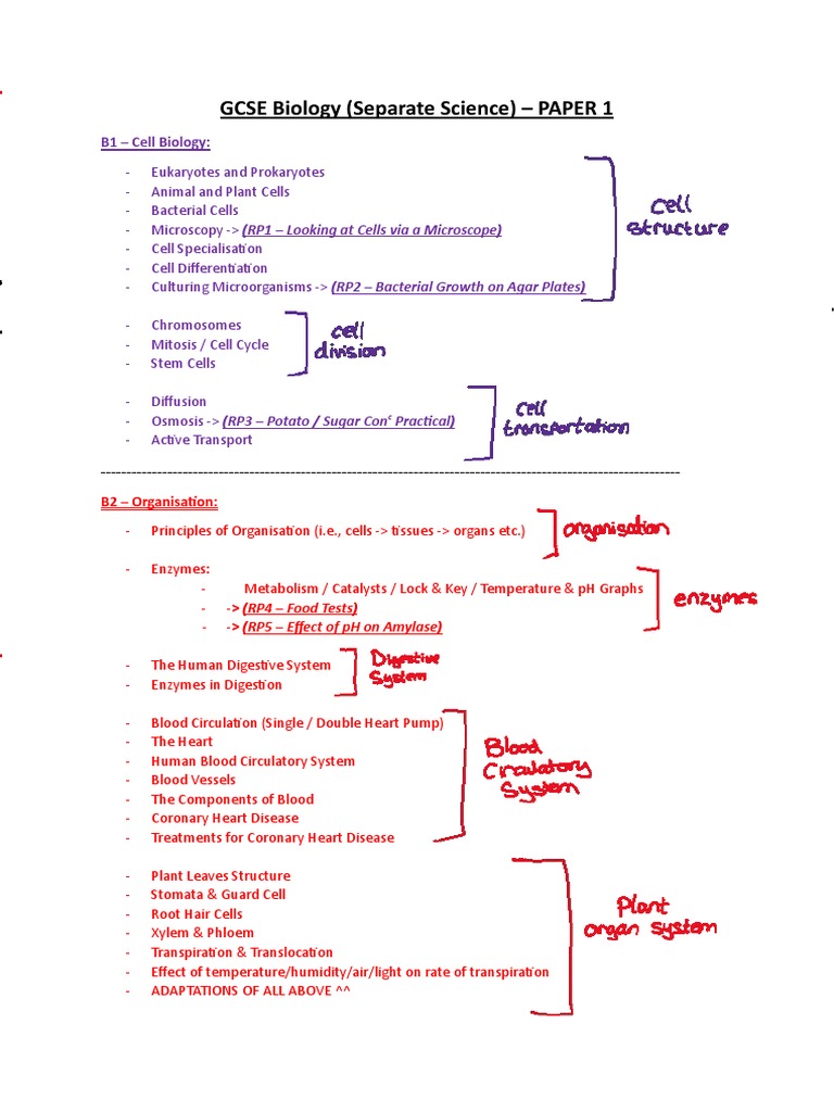 GCSE - Biology HT (Separate) - Paper 1 - Topics | PDF | Biology | Cell ...
