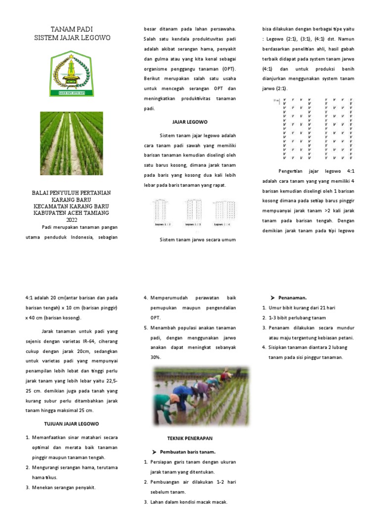 Jajar Legowo | PDF