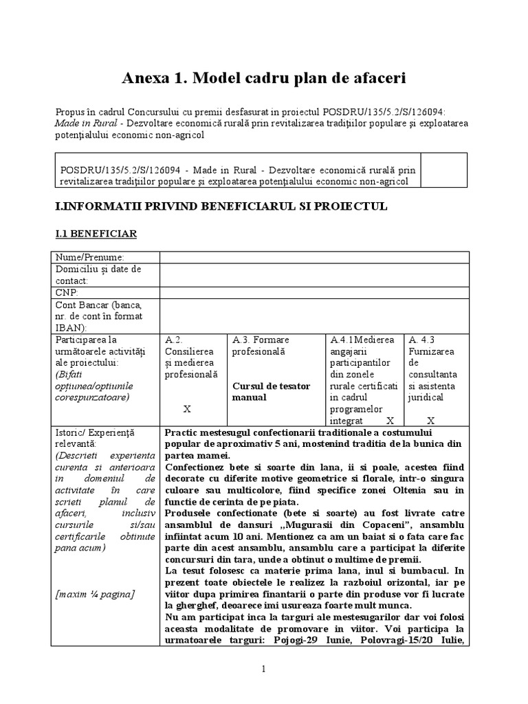 Plan de Afacere 1 | PDF
