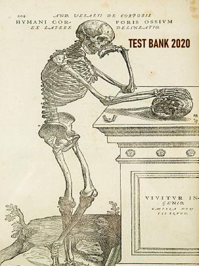 Anatomy UL&LL Test Bank | PDF | Human Leg | Soft Tissue