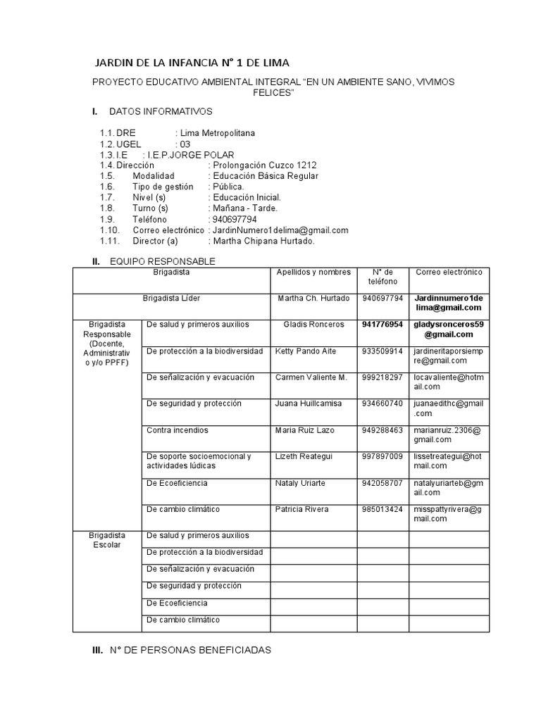 Formato para PEAI | PDF | Educación primaria | Evaluación