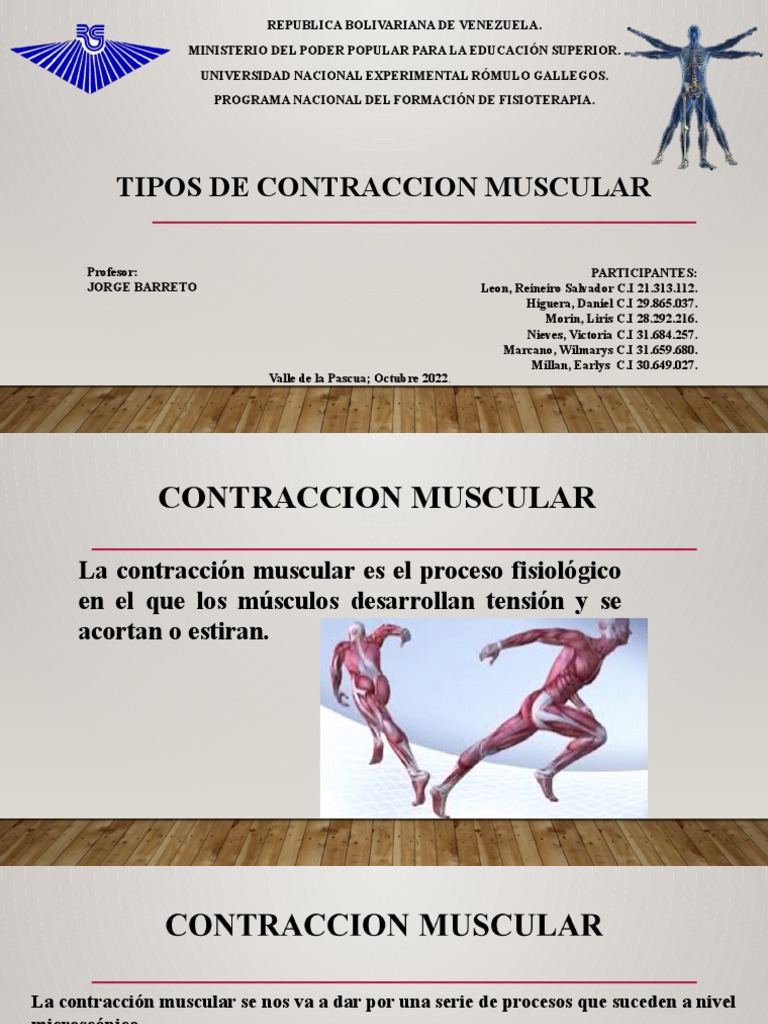 Tipos de Contracción Muscular en Fisioterapia | PDF | Contracción ...