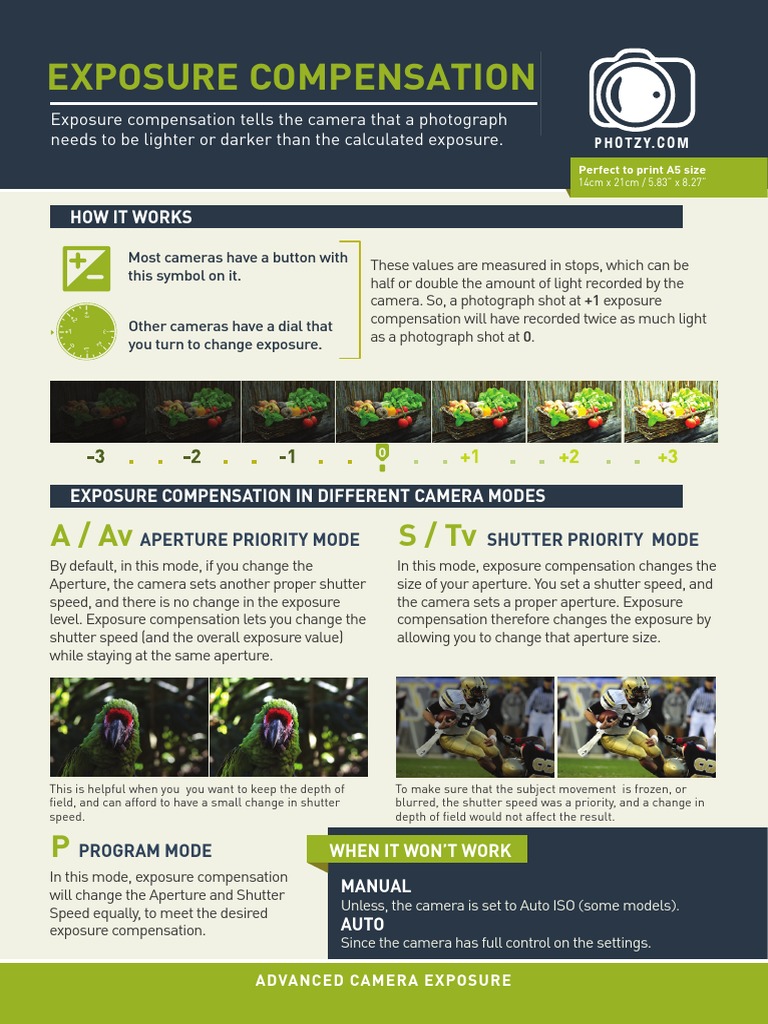 Exposure Compensation | PDF | Exposure (Photography) | Shutter Speed