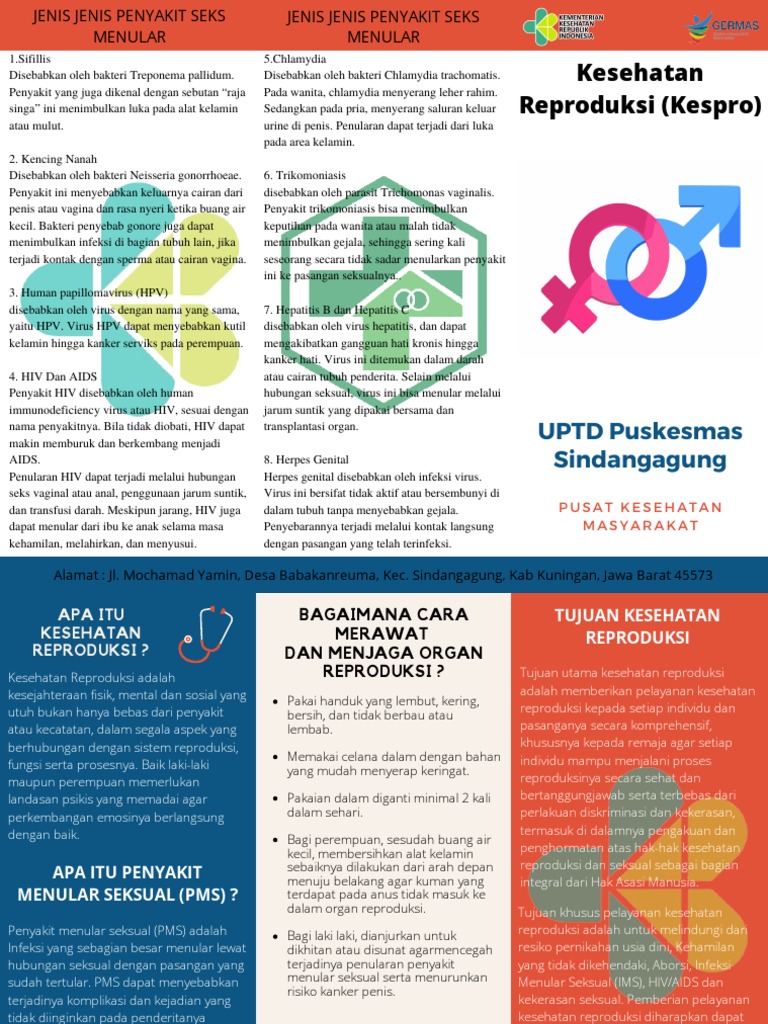 Leaflet Kesehatan Reproduksi | PDF