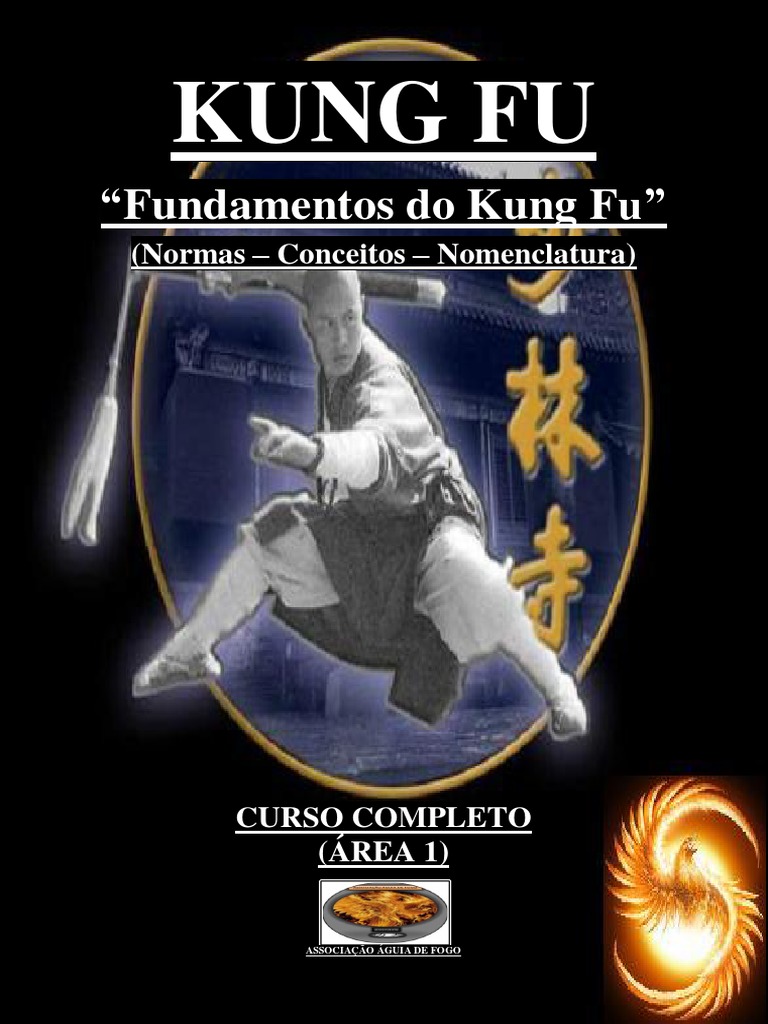 Ap1-Fundamentos Do Kung Fu | PDF | Chinês (idioma)