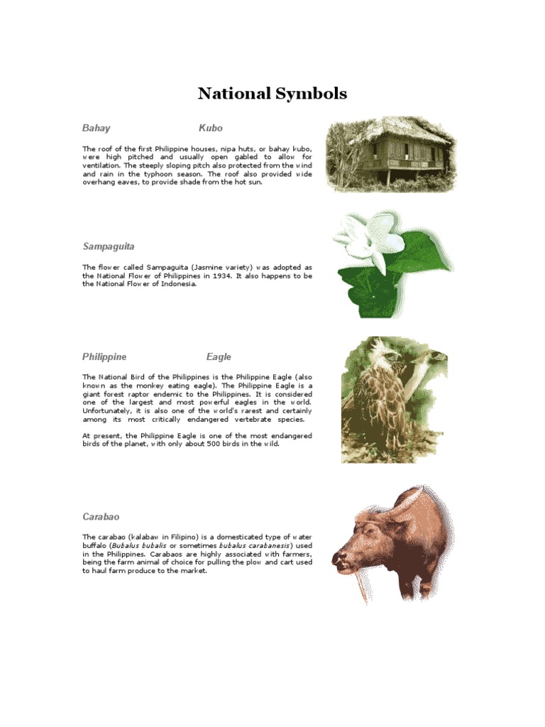 National Symbols | PDF | Mango