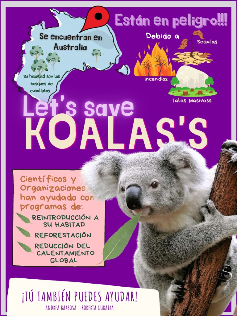 Poster KOALA | PDF