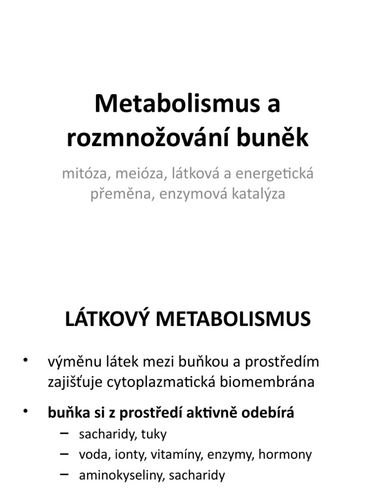 Metabolismus A Rozmnozovani Bunek | PDF