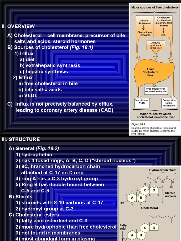 C) Cholesterol | PDF | Cholesterol | Biosynthesis