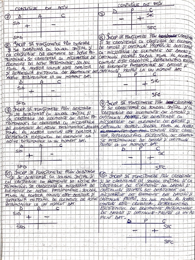 Subiect 3 Tema Conta | PDF