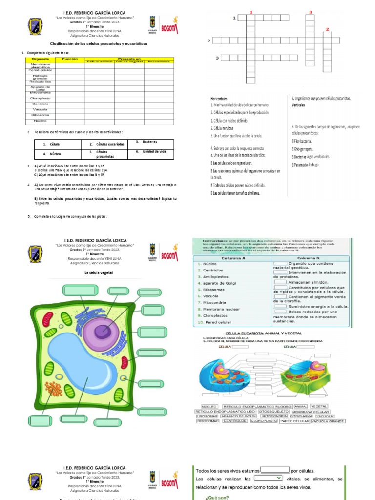 GRADO QUINTO CIENCIAS NATURALES 100 de Cada Una J. Tarde | PDF ...