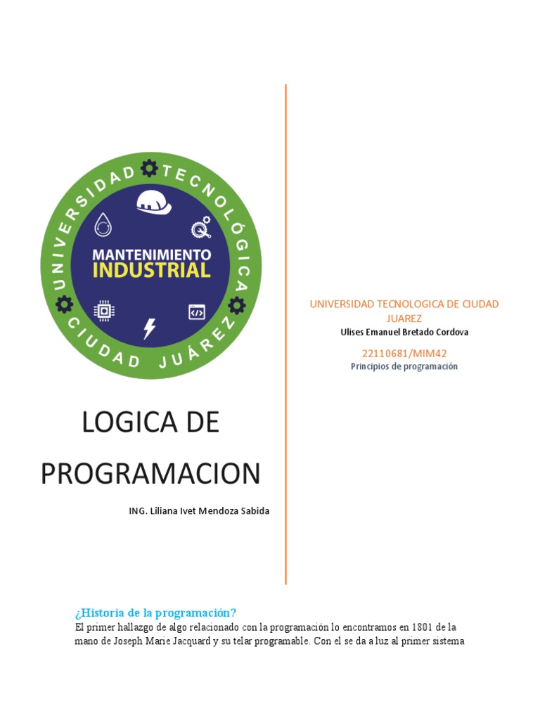 Historia de La Programación | PDF | Programación de computadoras | Programa de computadora