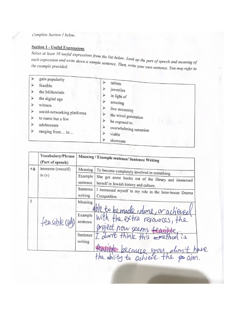 5D-03-Cheng Hiu Nam-MSG Chapter 4 | PDF