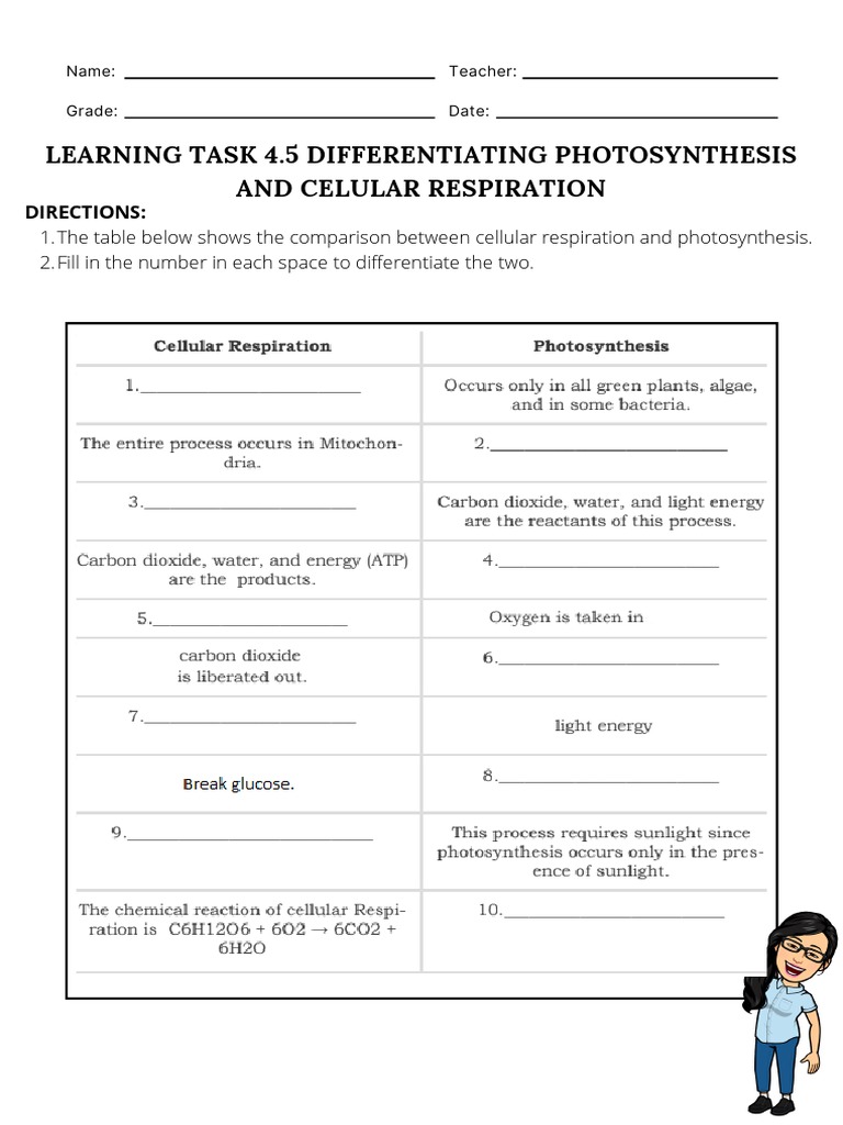 Learning Task 4.5 Differentiating Photosynthesis and Cellular ...