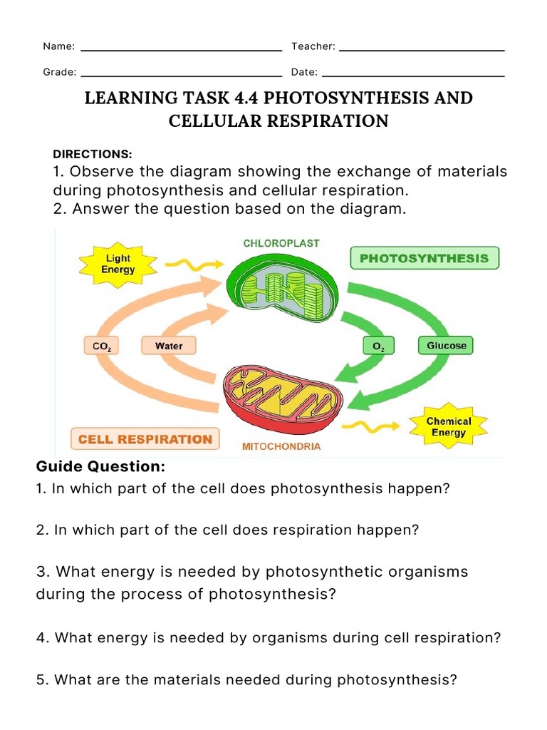 Learning Task 4.4 Photosynthesis and Cellular Respiration | PDF