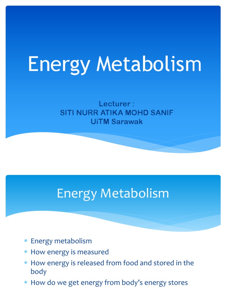 Energy Metabolism | PDF