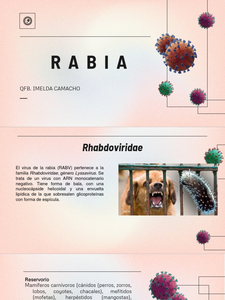La Rabia | PDF | Rabia | Especialidades Medicas