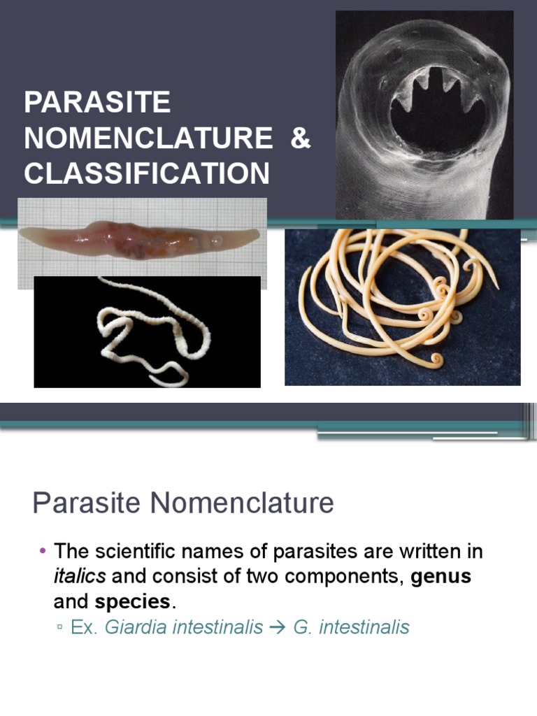 Parasite Classification Nomenclature | PDF