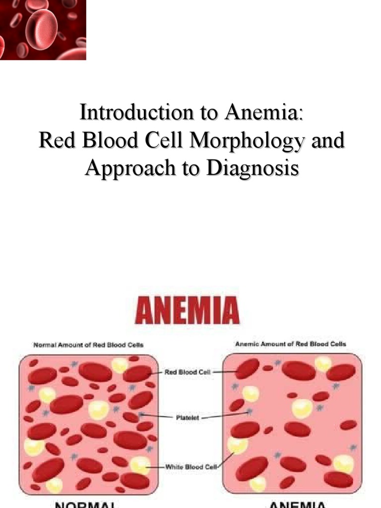 1 Introduction To Anemia | PDF | Anemia | Red Blood Cell