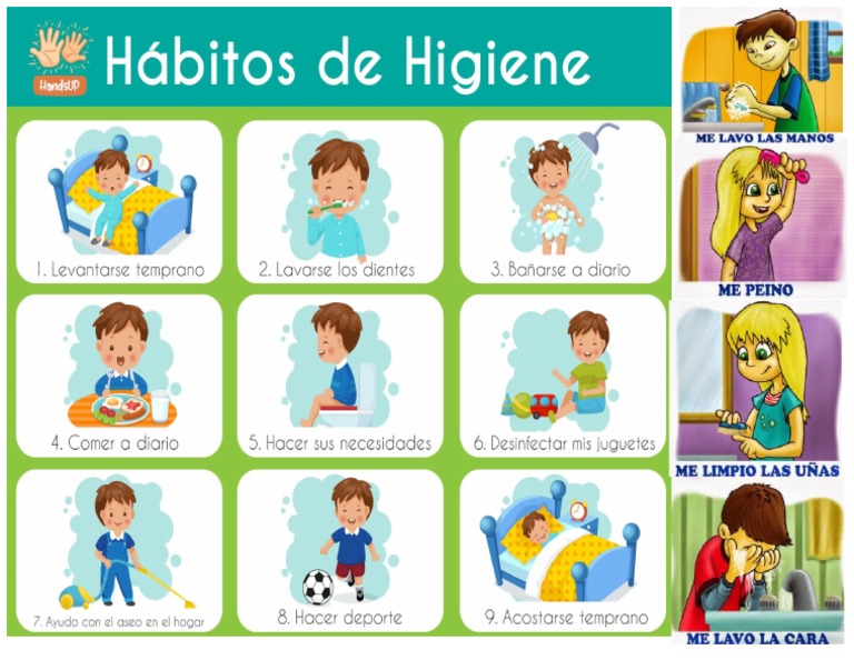 Hábitos de Higiene | PDF