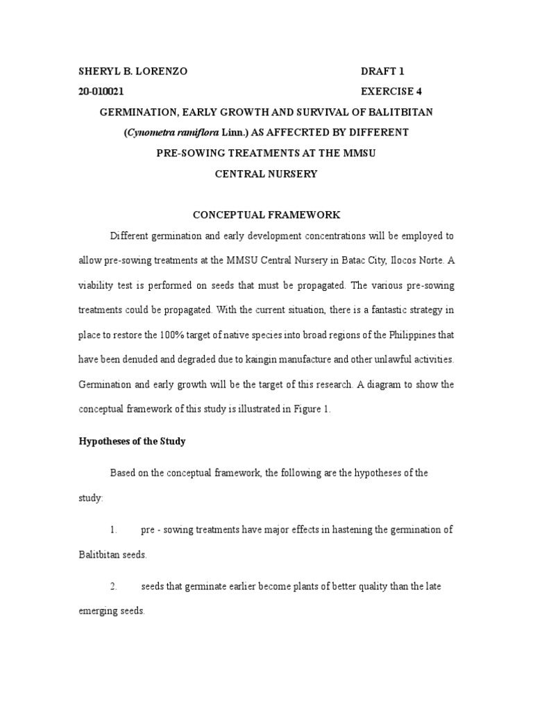 CONCEPTUAL FRAMEWORK (DRAFT 1) Edited | PDF
