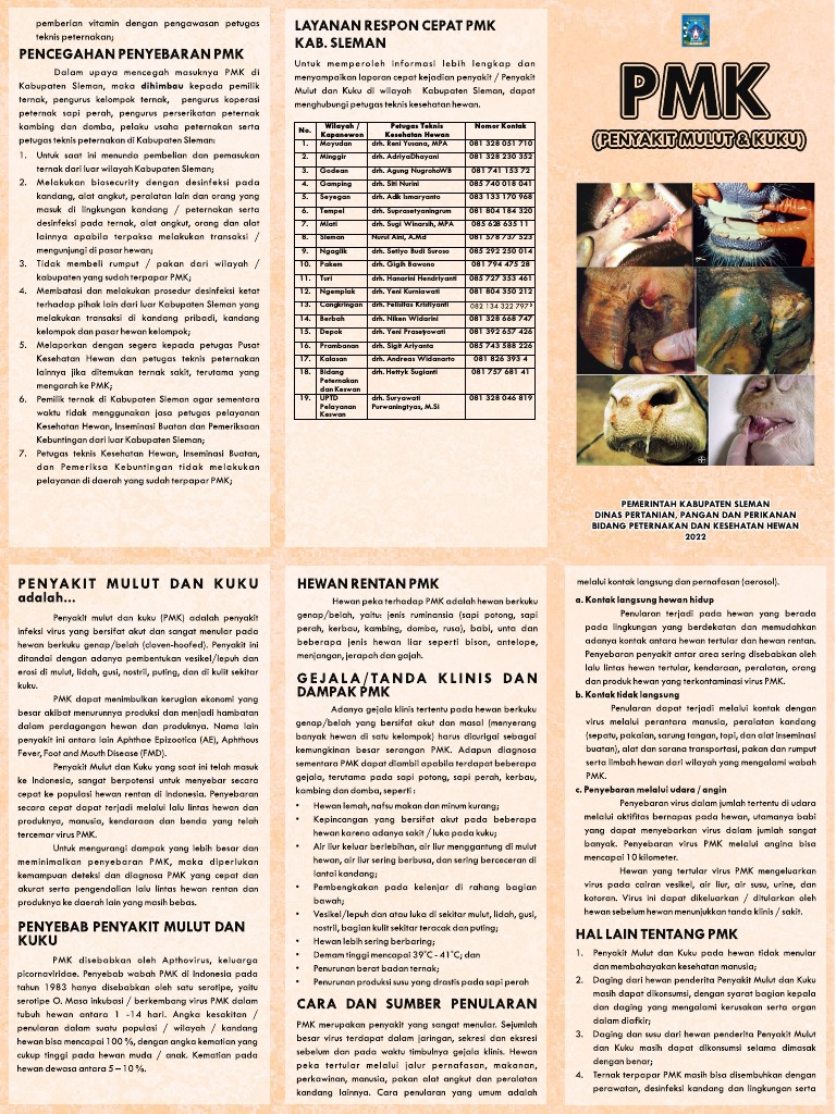 Leaflet PMK Rev 2 | PDF