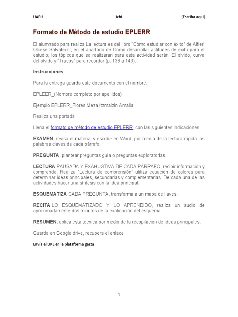 Formato Actividad de EPLERR | PDF