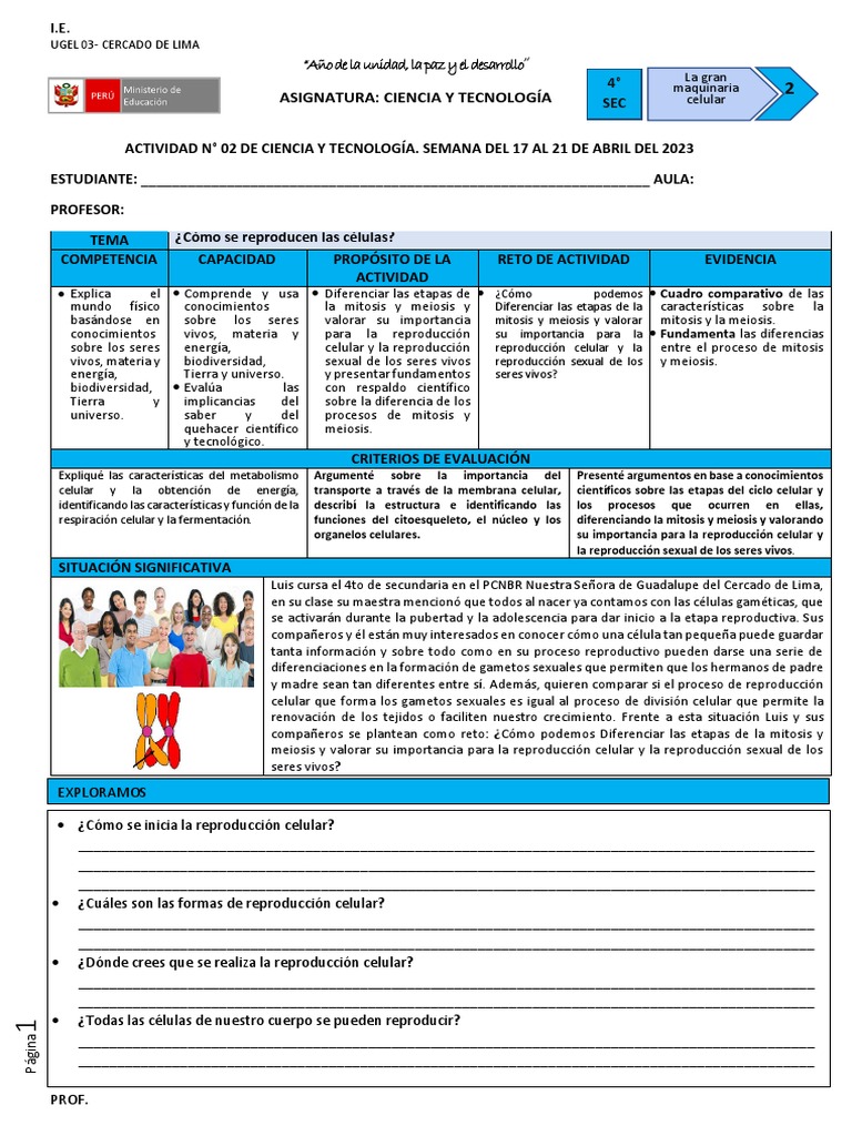 (PDF) 4° SEC. EDA 2 SEMANA 2 Explica CYT 2023 Cómo Se Reproducen Las Células | PDF | Mitosis ...