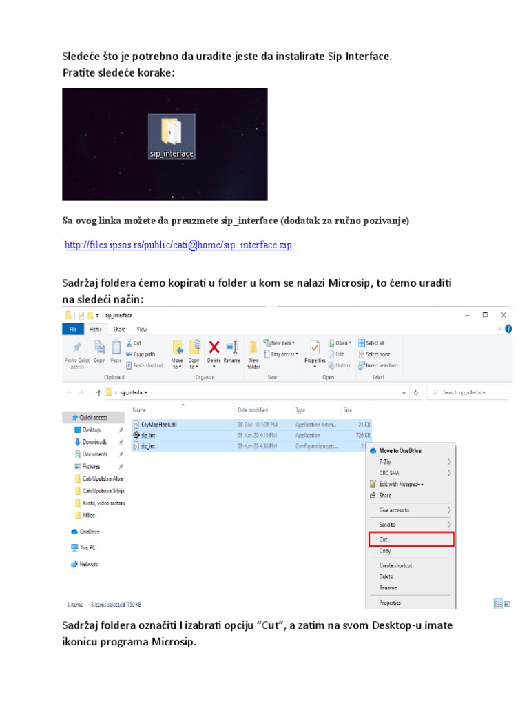 SIP Interface Uputstvo | PDF