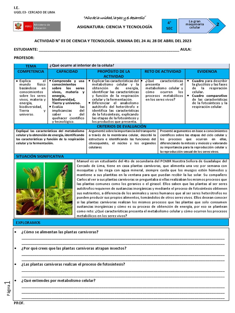 (PDF) 4° SEC. EDA 2 SEMANA 3 Explica CYT 2023 Qué Ocurre Al Interior de La Célula | PDF ...
