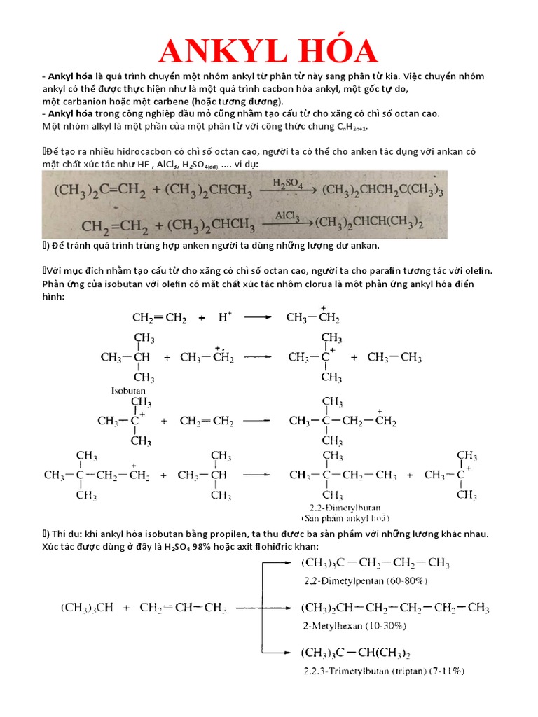Ankyl Hóa | PDF