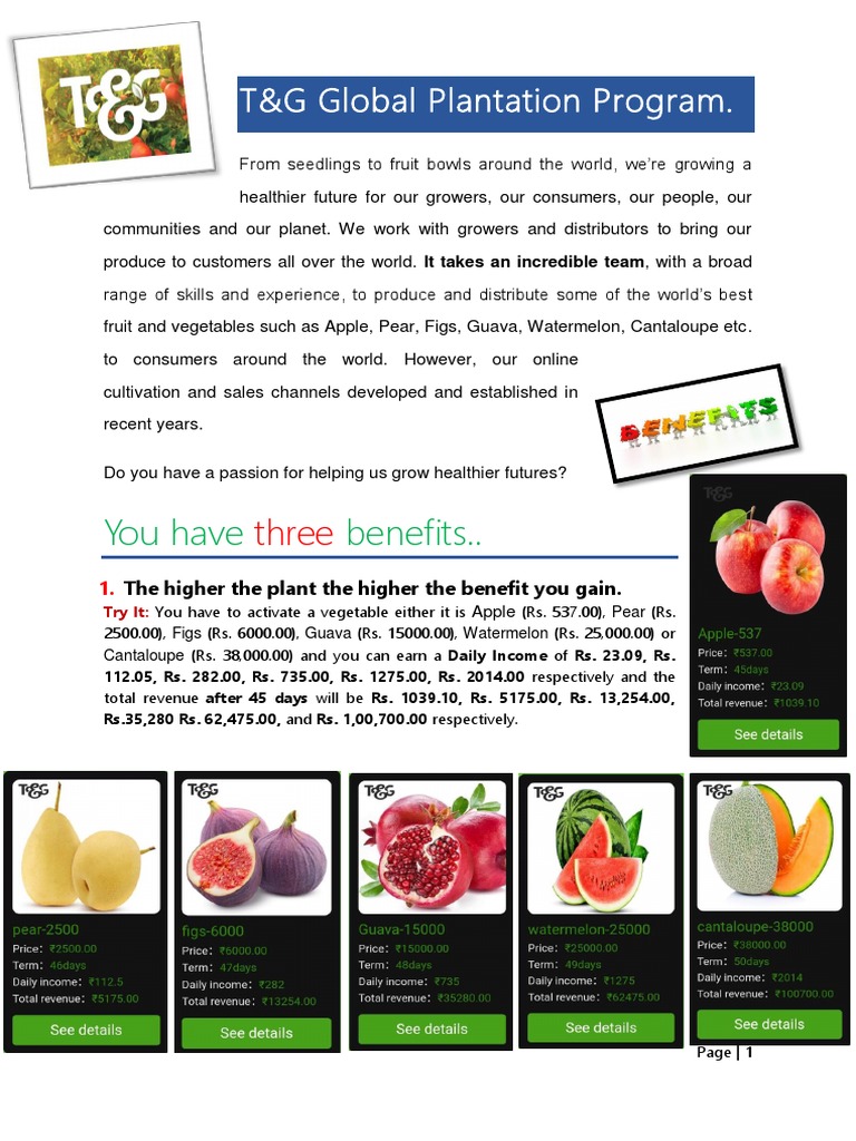 T&G Global Plantation Program.: You Have Benefits. | PDF | Salary | Qr Code