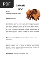 Las 10 Plantas de La Sierra Peruana Más Comunes | PDF | Aguacate | Cebada