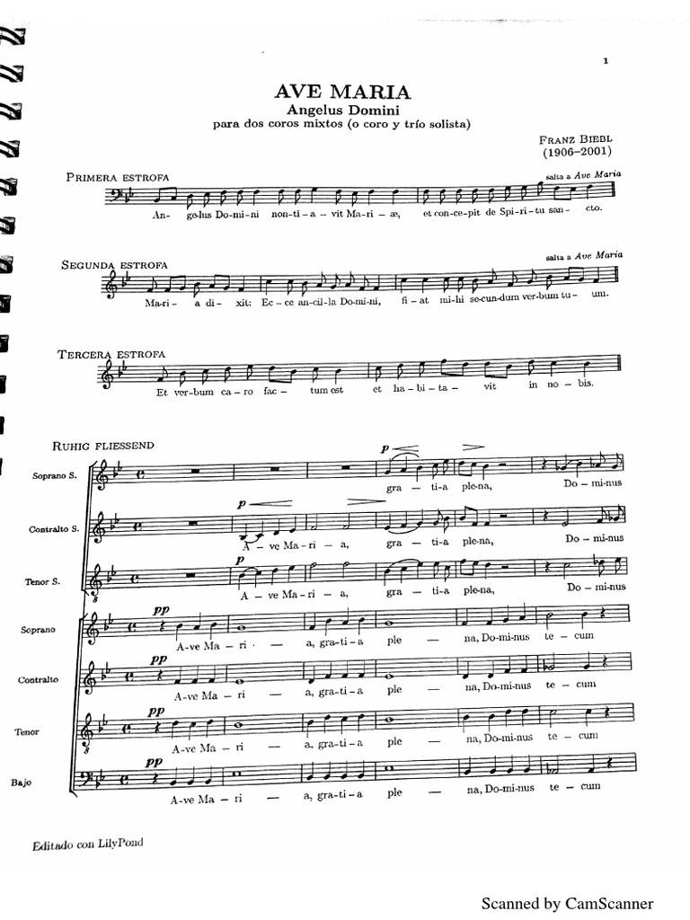 Ave Maria - Franz Biebl | PDF