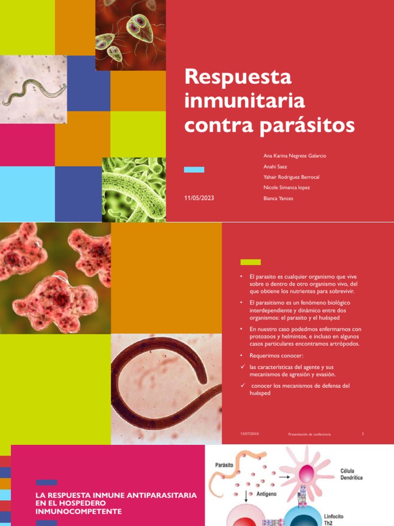 Respuesta Inmunitaria Contra Parásitos | PDF | Sistema inmune | Linfocitos