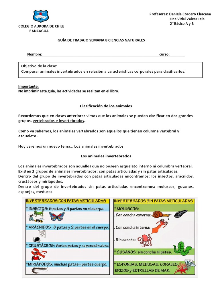 Clasificación de Invertebrados | PDF | Invertebrado | Organismos