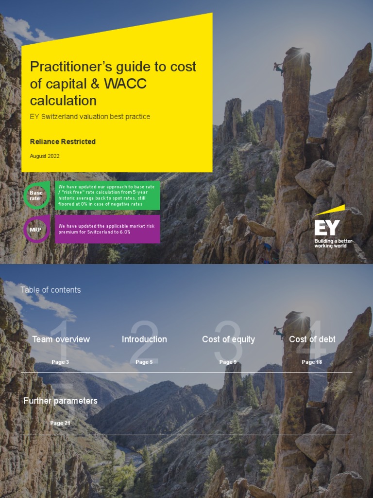Ey 2022 Practitioner Cost of Capital Wacc | PDF | Cost Of Capital | Valuation (Finance)