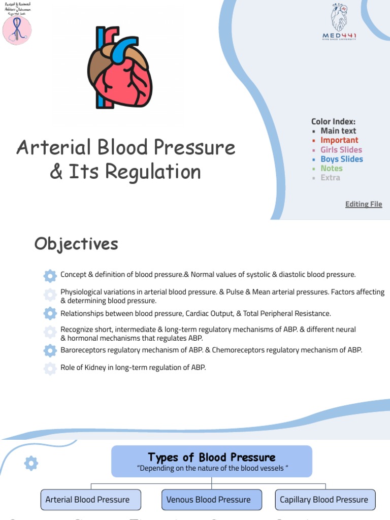 10,11-Arterial Blood Pressure & Its Regulation Team441 | PDF | Blood ...