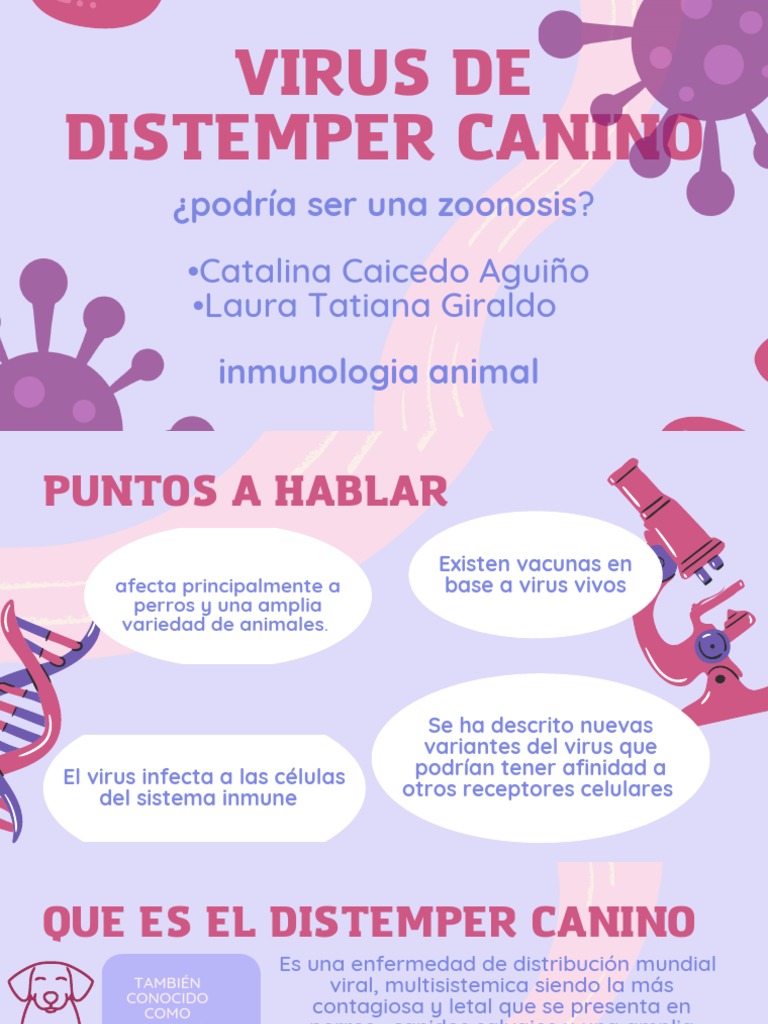 Distemper Canino | PDF