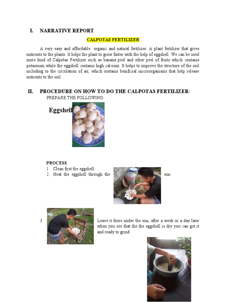 Narrative Report | PDF