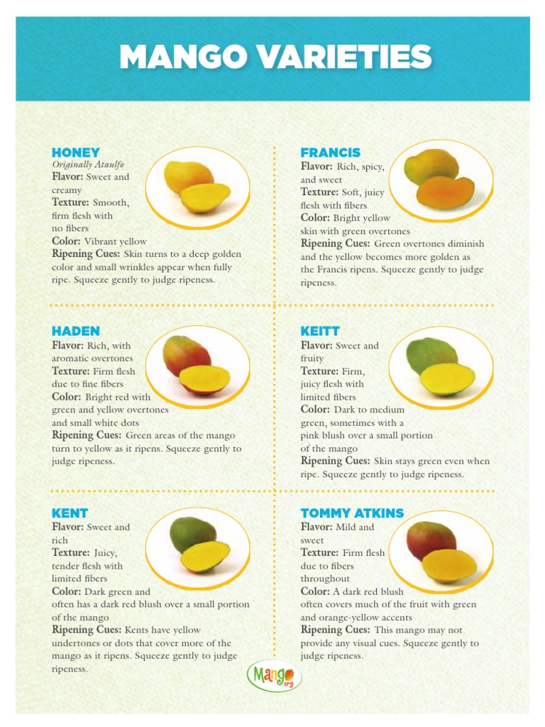 Mango Varieties | PDF | Mango | Food And Drink